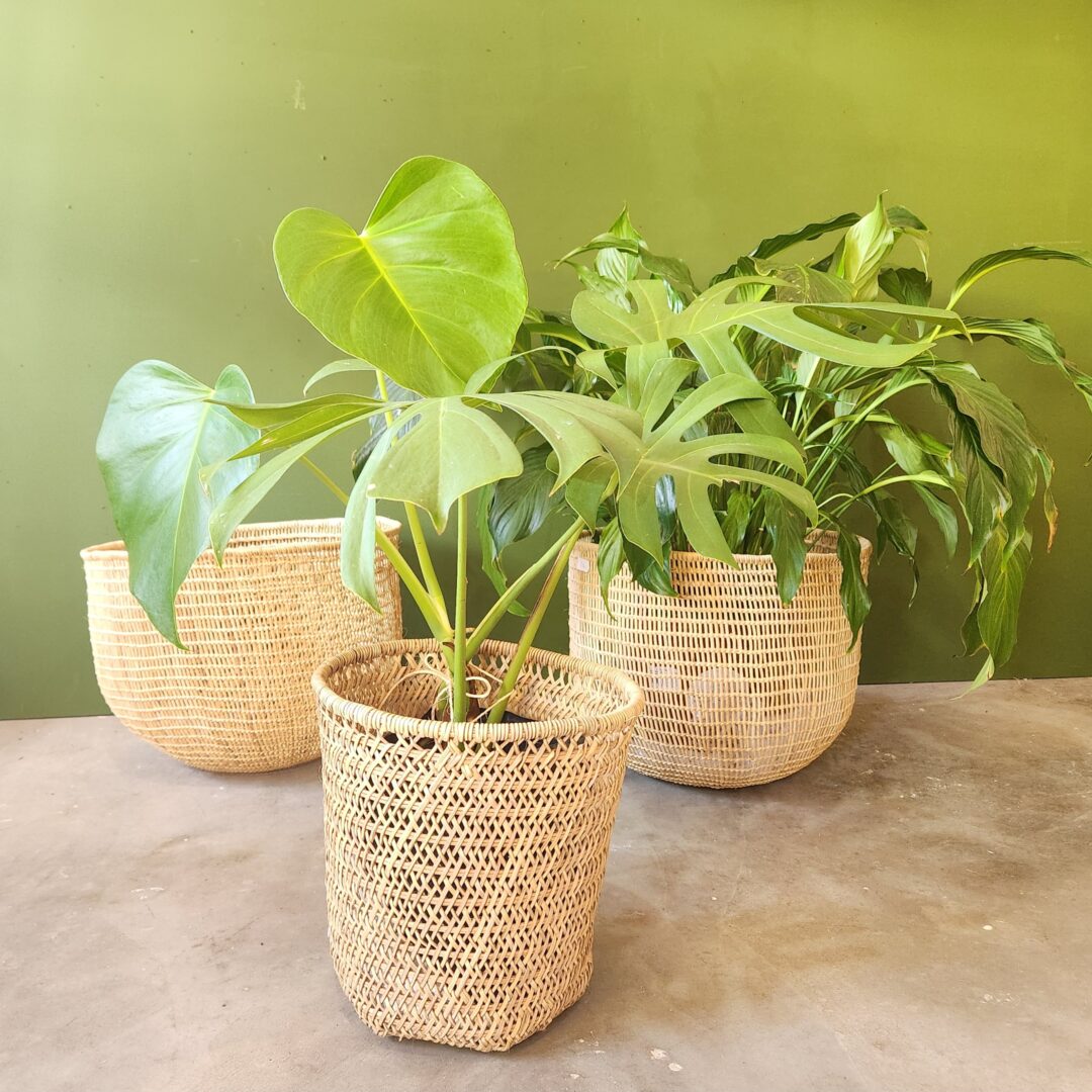 Cesto de Palha Baniwa (P) - Imaterial Artesanato Brasileiro